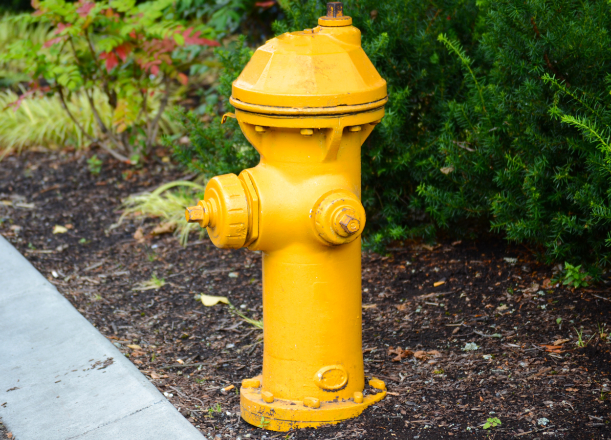 Inspections - Smith Fire Systems